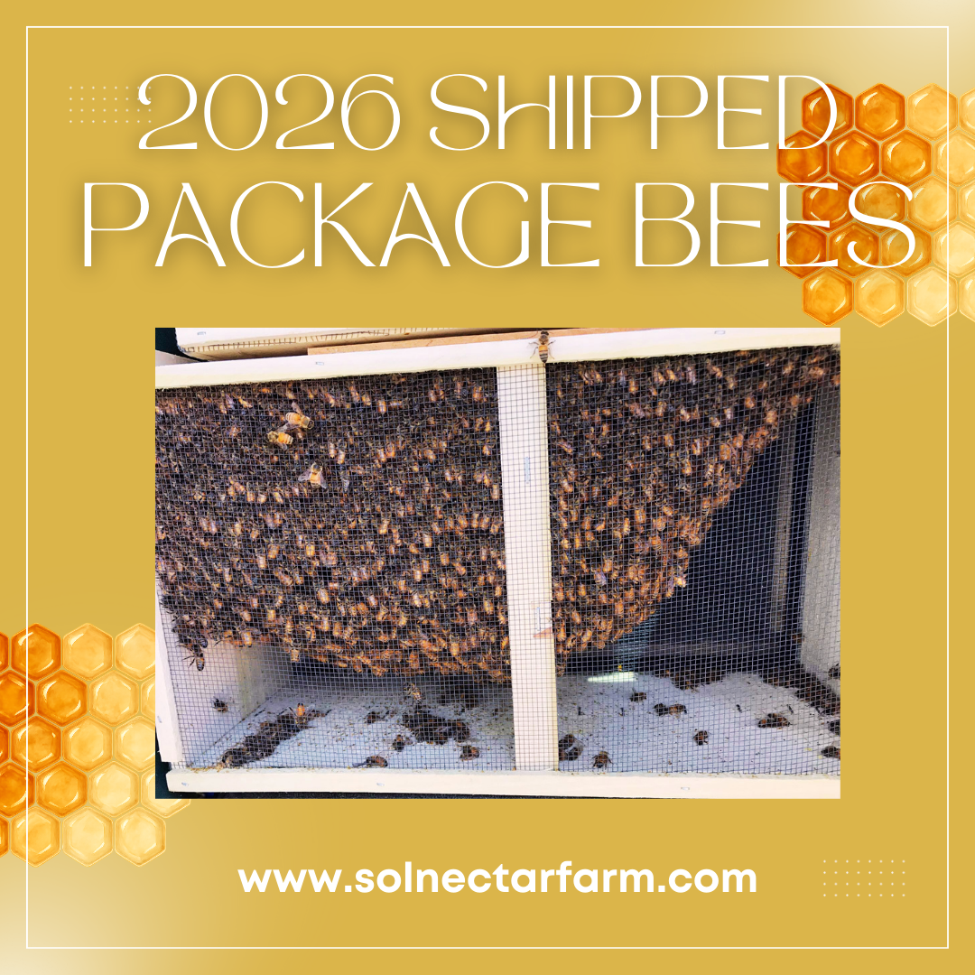 Presale-Honeybees and Mated Queen 3 lb Package Bees, Live Bees Preorder ...