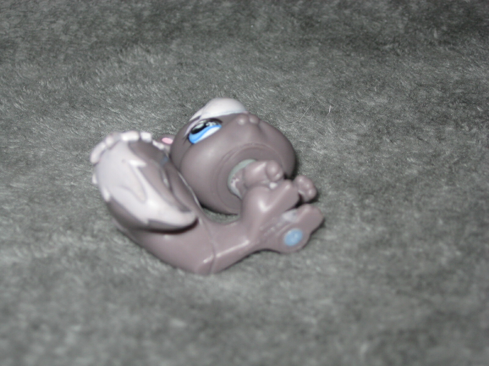 Littlest Pet Shop LPS ~ #484 Squirrel, Gray Grey and Cream White | eBay