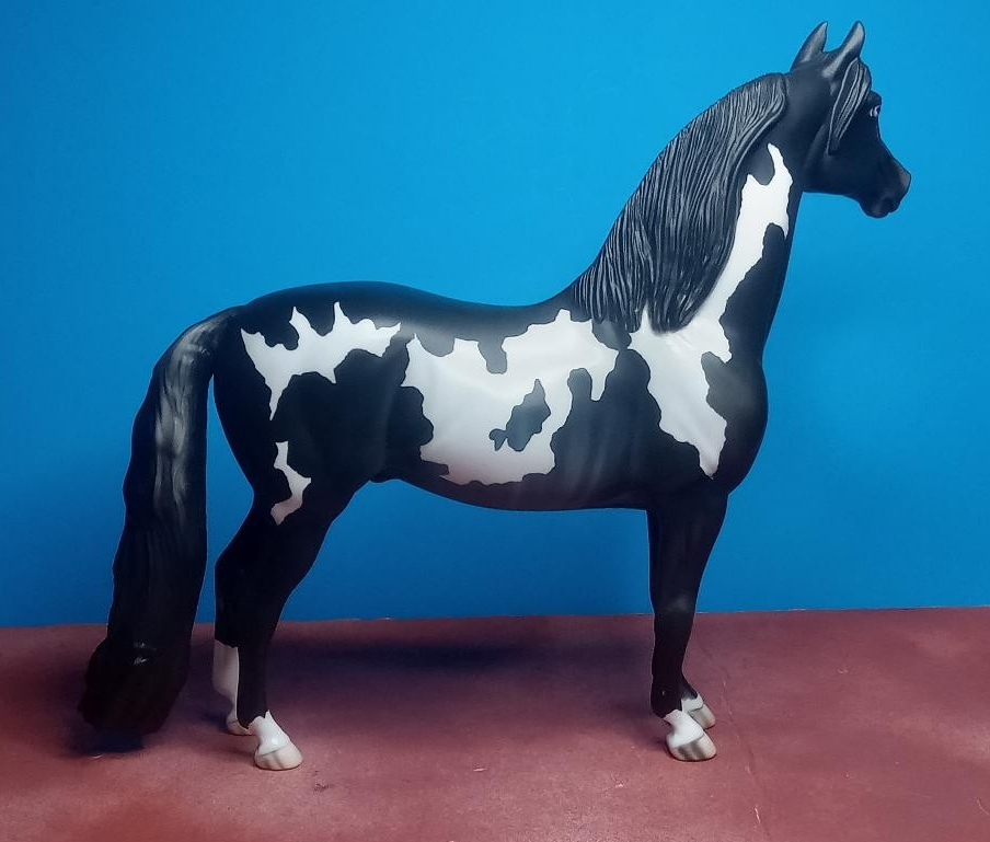 Peter Stone model horse Morgan matte black rabicano frame overo DAH ...