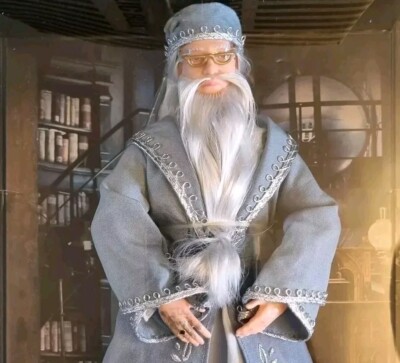 Harry Potter Doll Design Collection Albus Dumbledore Htf Limited Edit ...