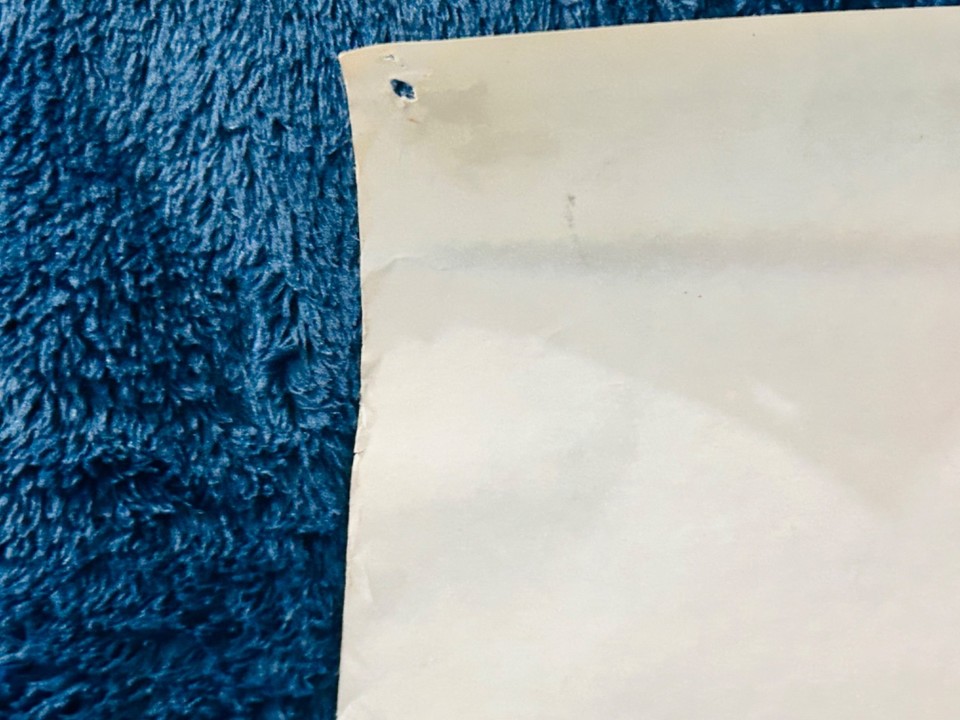 Grateful Dead RFK June 10, 1973 Poster Vintage Personality Posters USA ...