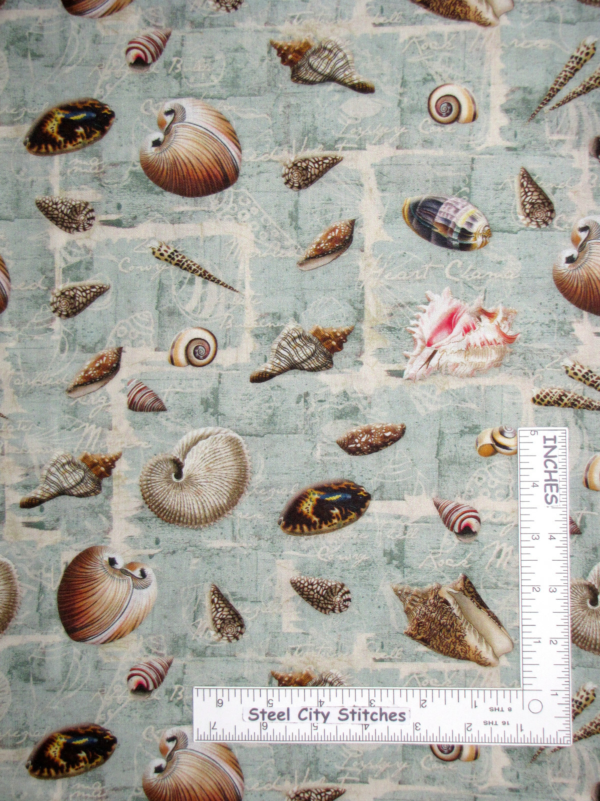 Sea Shell Ocean Seashell Nautical Cotton Fabric Springs CP71575 By The ...
