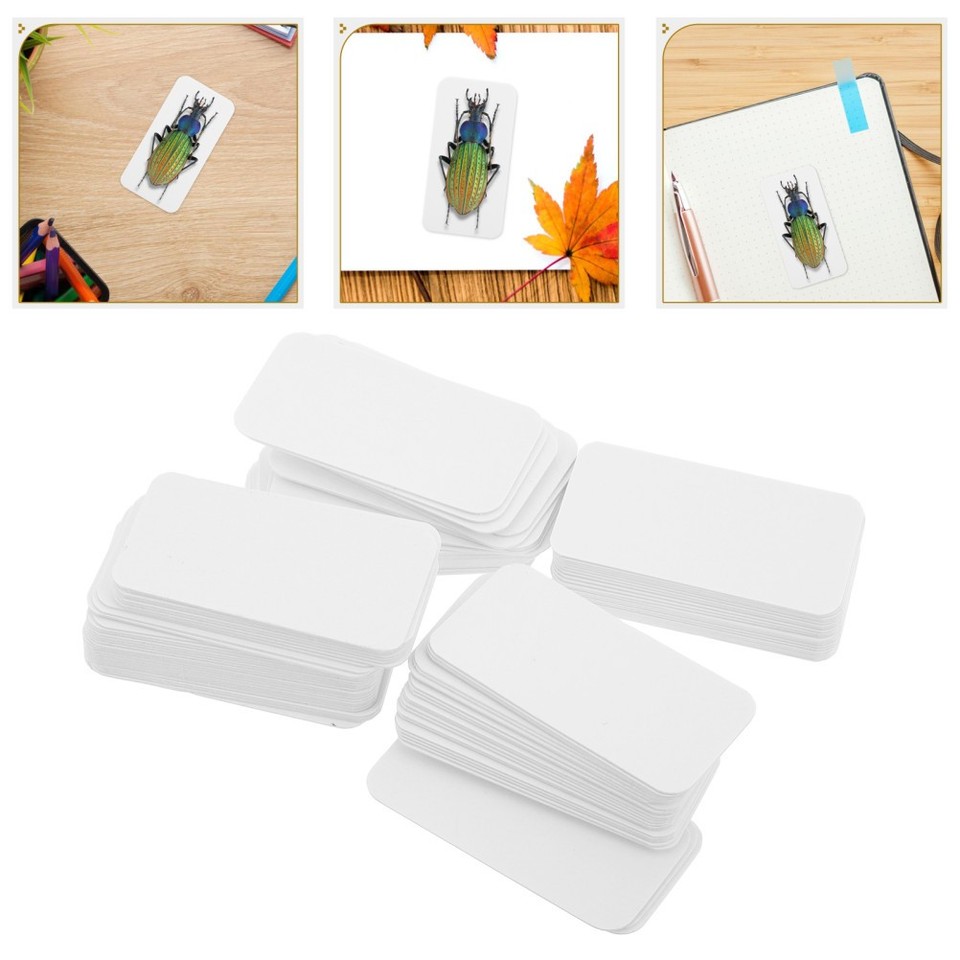100 Pcs Blotting Paper for Flower Press Entomology Lab Display Cards ...