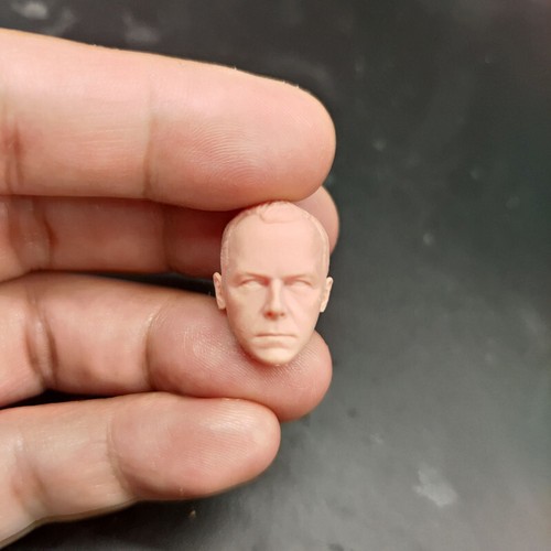 1/12 Scale Blue Fury Simon Sean Pegg Head Sculpt Unpainted Fit 6" ML ...