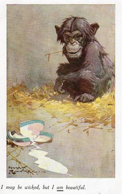 Chimpanzee Harry Rowntree unused old pc Vivian Mansell 1077 | eBay UK