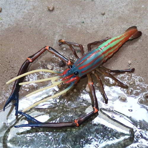 Giant River Prawn Marine Animal Model Shrimp Collector Decor Figure Kid ...