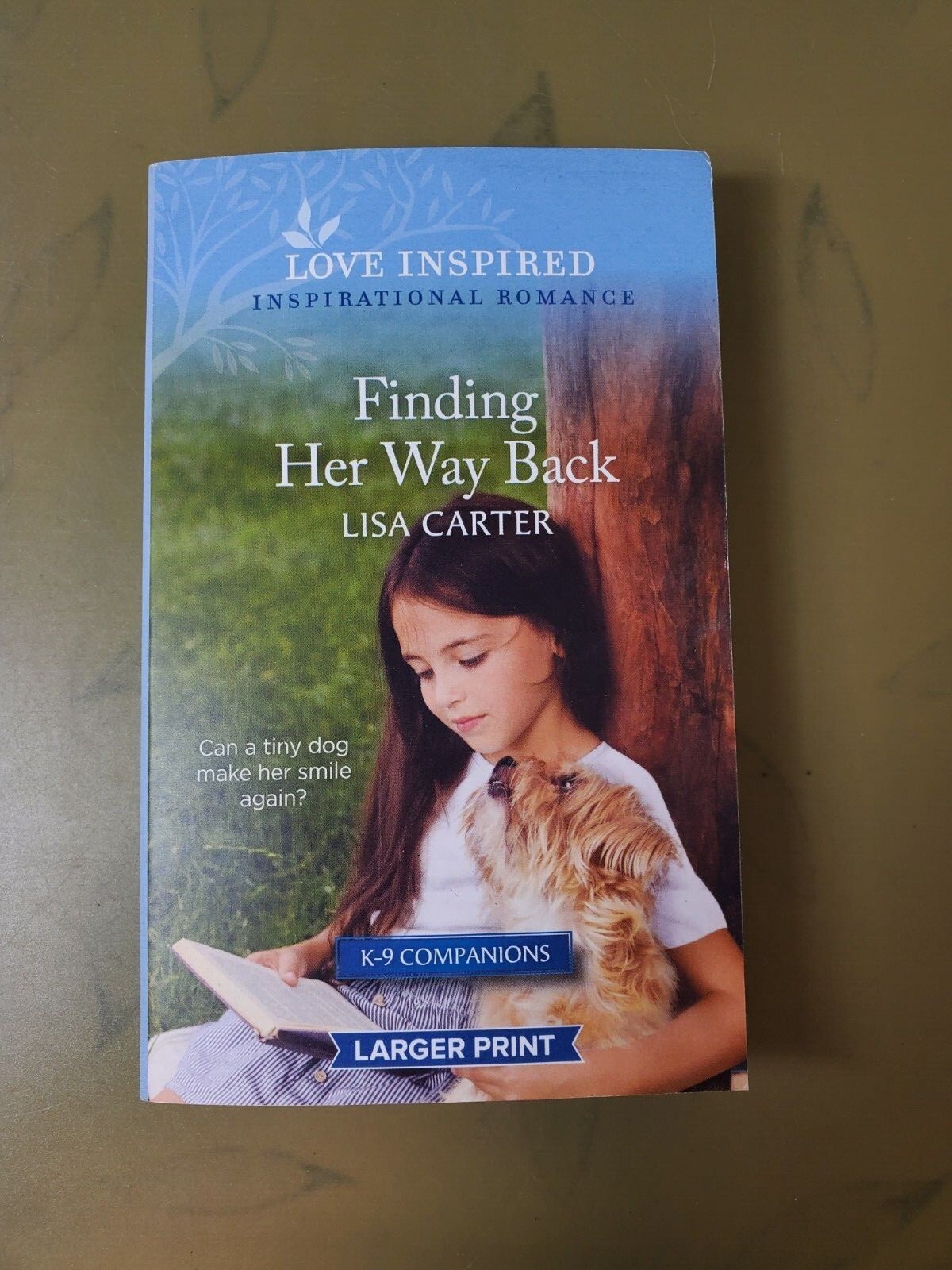 Finding Her Way Back : An Uplifting Inspirational Romance by Lisa Carter (2022, Mass Market) for ...