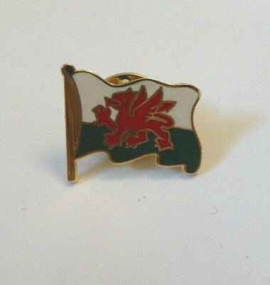 Welsh Flag Lapel Pin | eBay