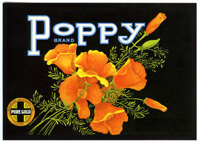 POPPY~GOLDEN POPPIES FLOWERS~HISTORICAL FRUIT CRATE LABEL ART~NEW 1983 ...