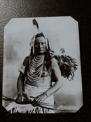 Native American Chief Hash Nash Shut tintype C967RP | eBay