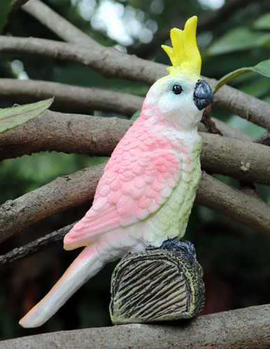 14.5cm Parrot Bird PVC Toy Cockatiel Wild Animal Figure Doll Kids Gift ...