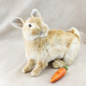 Scenic City Oddities | eBay Stores