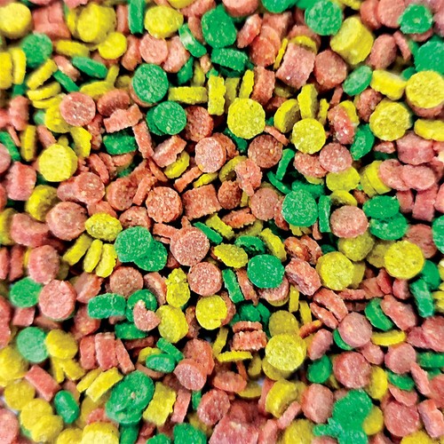 Fiory MicroPills Cold Pressed Pellets Cockatiel and Budgie Food 2.5kg ...