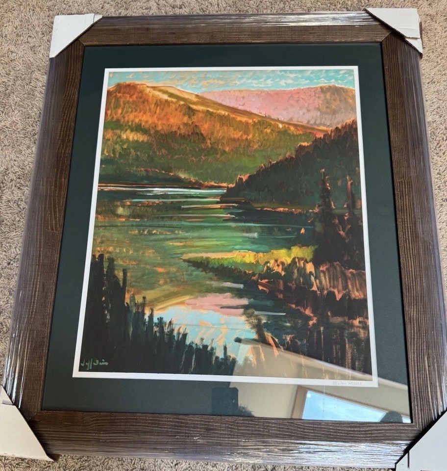 Jeff Weir Wonderland Print Professionally Framed | eBay