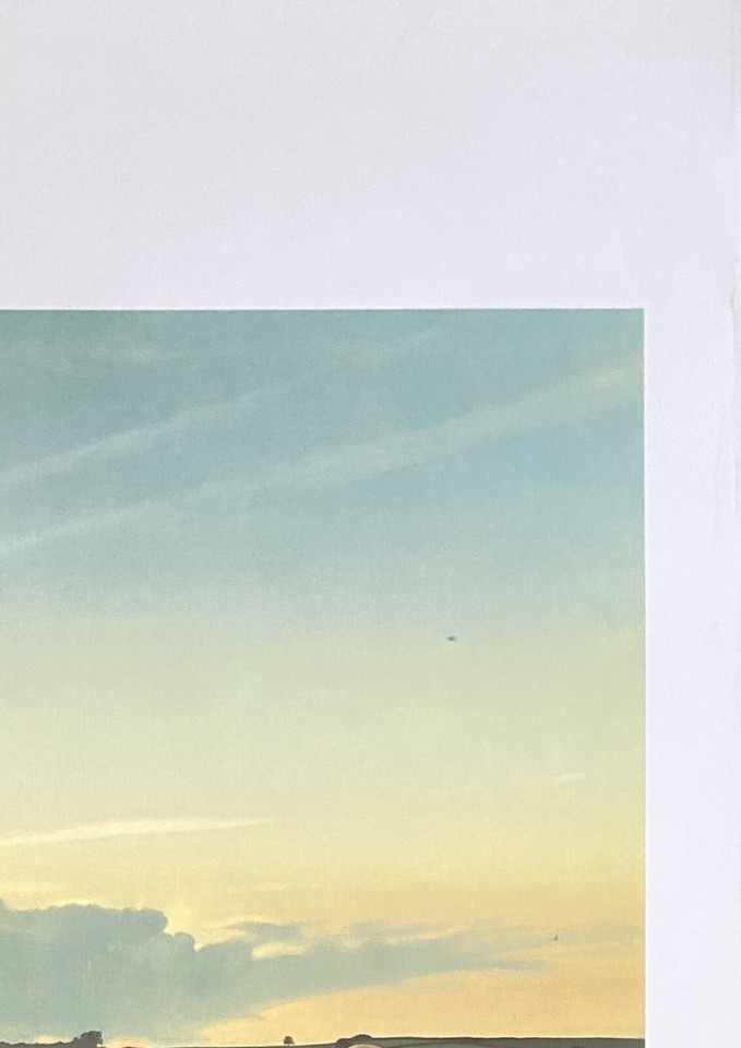 NEIL MOORE CORIXA ORIGINAL ART POSTER PRINT THE TREADWELL GALLERY 1980s ...