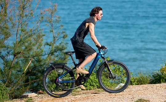 Cyrusher Flex Electric Mountain Bike All-Terrain E-MTB 750W 48V 15Ah E ...