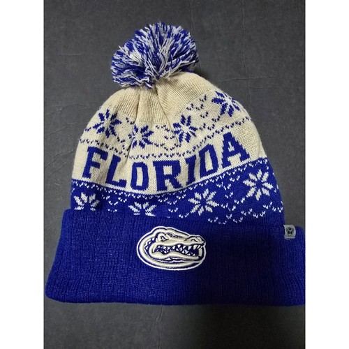 Florida Gator pompom hat, Go Gators, blue and white winter beanie gear ...