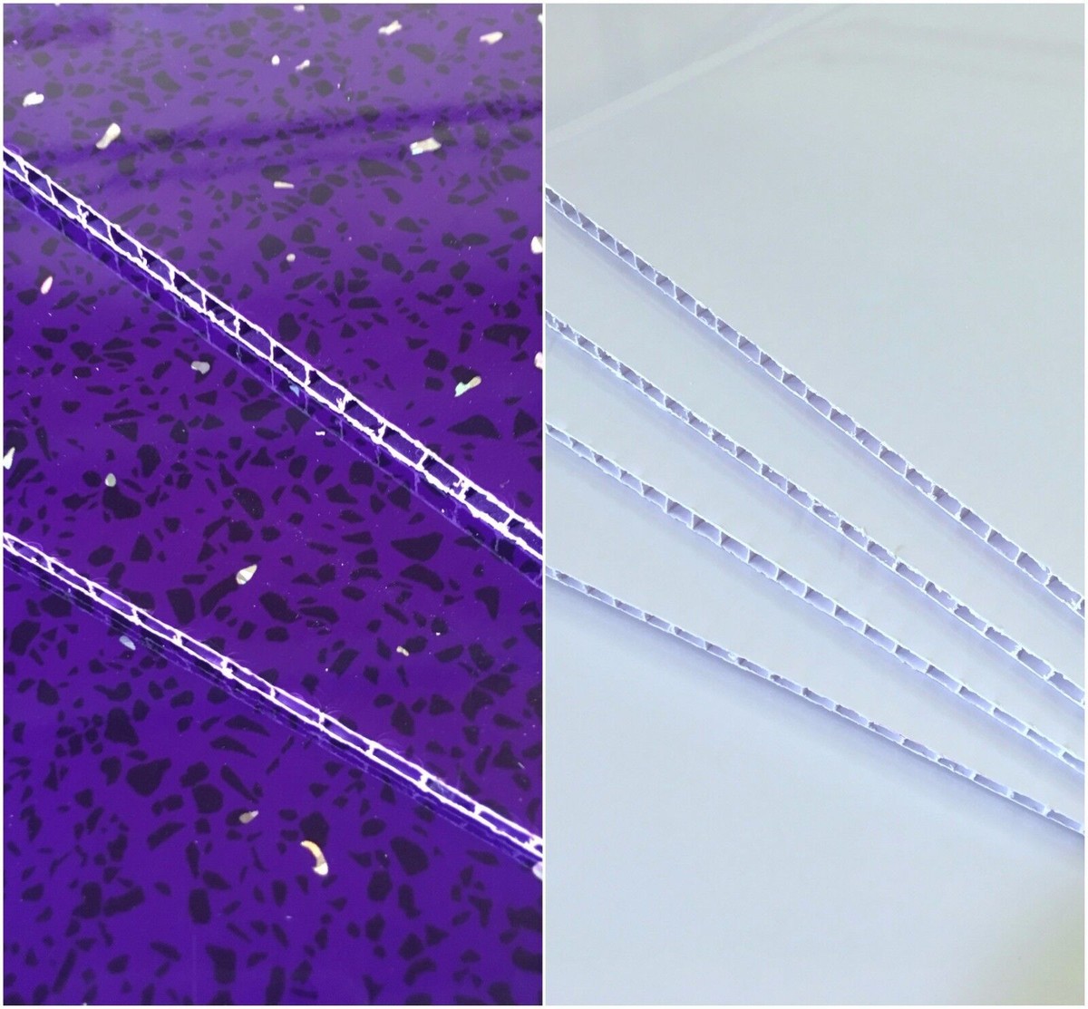 Wet Purple And White