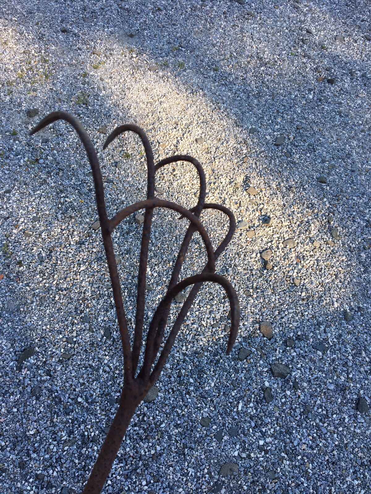 Antique Clam Rake New Haven Connecticut Shellfish Oyster Blacksmith 8 ...