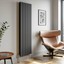 Anthracite Designer Radiator Vertical Horizontal Flat Panel Oval Column ...