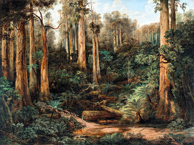 A Sassafras Gully Gippsland A1+ by Isaac Whitehead High Quality Canvas ...