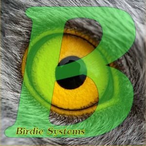 Birdie Systems | eBay Stores