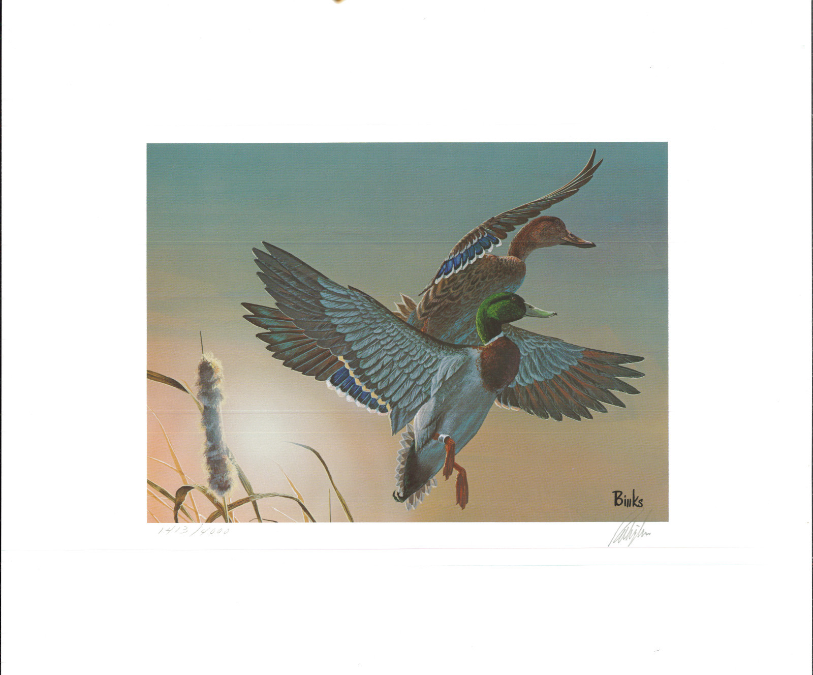 SOUTH CAROLINA #2 1982 DUCK STAMP PRINT MALLARDS BY Bob Binks | eBay