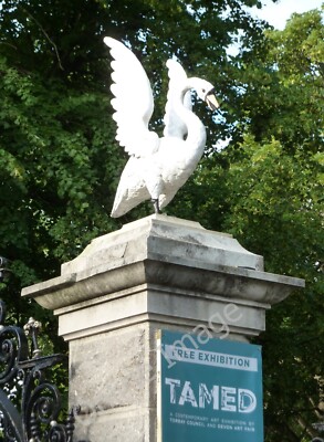 Photo 6x4 Tamed swan, entrance gatepost, Torre Abbey, Torquay The swan ...