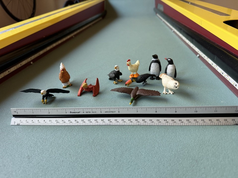 Lot Of 10 Birds Safari Ltd Penguin Eagle Pterodactyl Toucan Owl Hen Figures | eBay