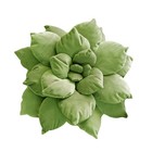 3D 17" Green Cactus Flower Pillow | Hand-Stitched Flower Pillow for Bedroom, ... | eBay