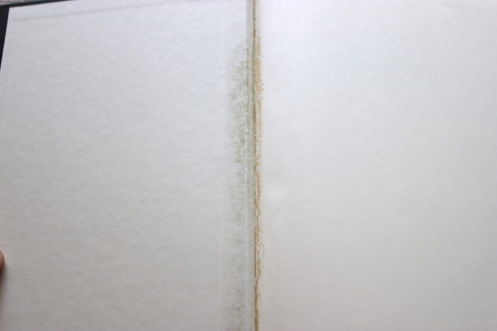 The Day After Roswell - Col Philip J Corso William J Birnes UFO alien ...