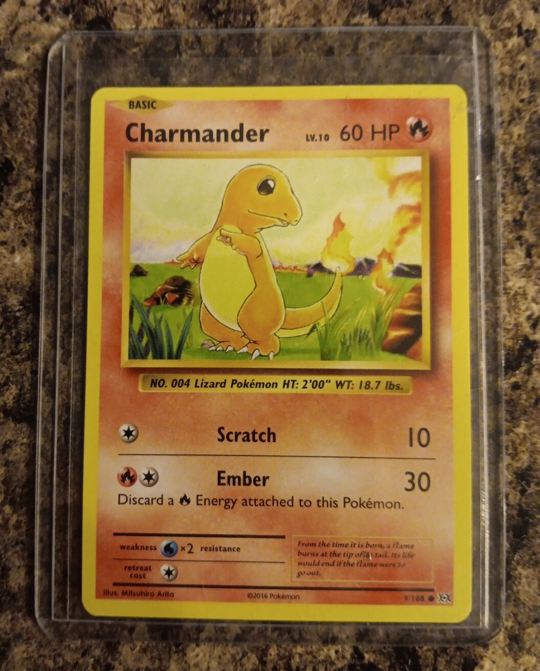 2016 Pokémon TCG Charmander XY Evolutions 9/108 Regular Common | eBay