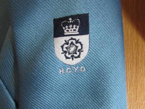 HCYD Unidentified Possibly Company or Staff Issue Tie by Insignia | eBay UK