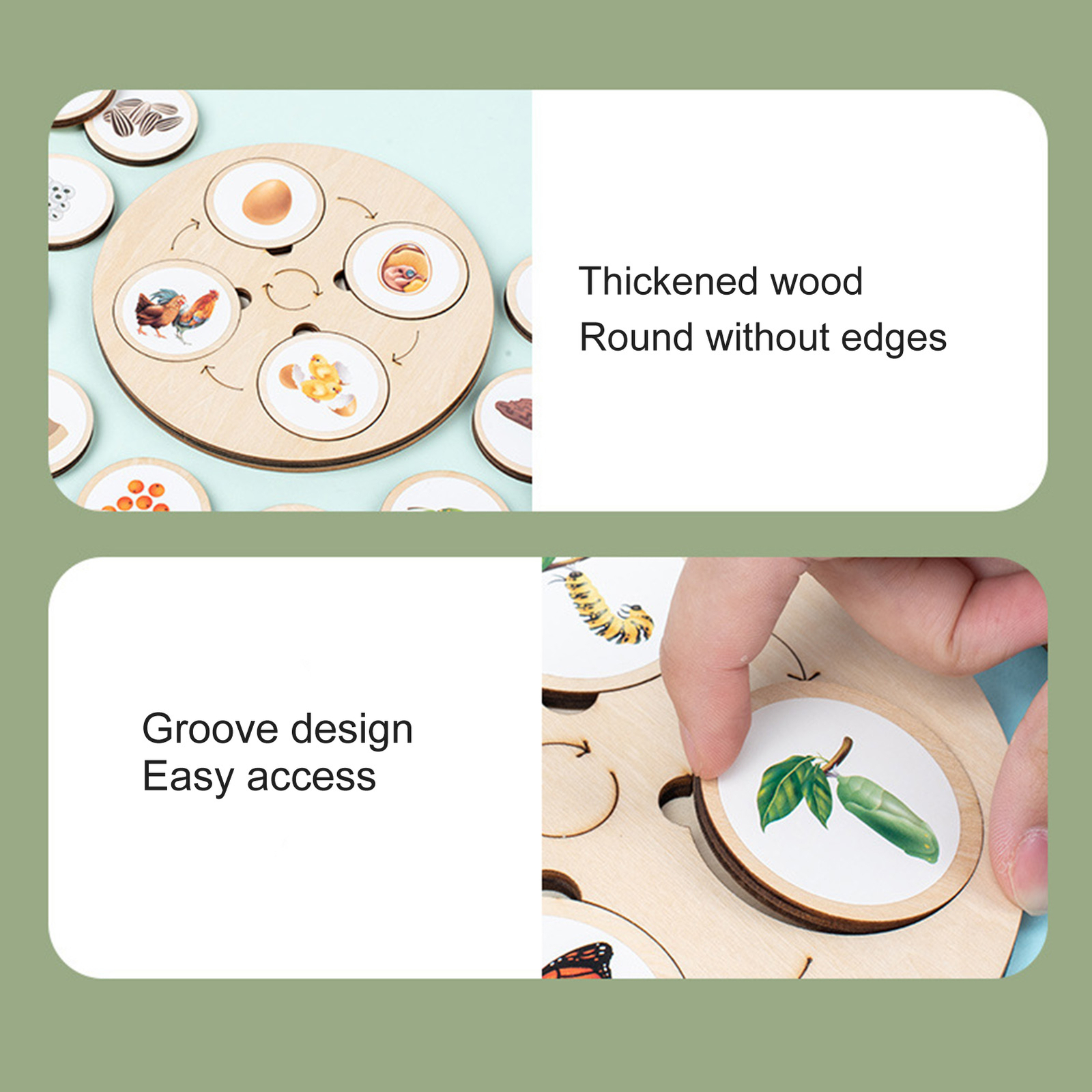 1 Set Kids Puzzles Stimulate Creativity Diy Life Cycle Jigsaw Toys with ...