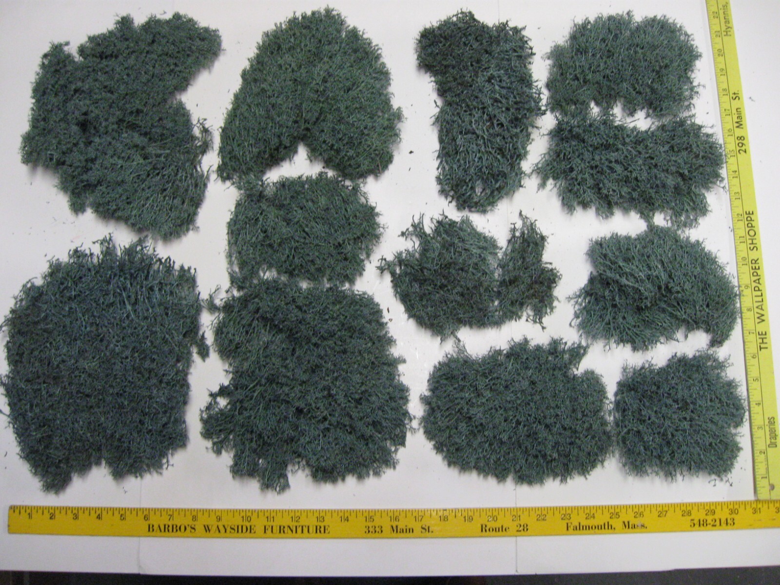 LICHEN FOR LIONEL or TOY DISPLAY TREES | eBay