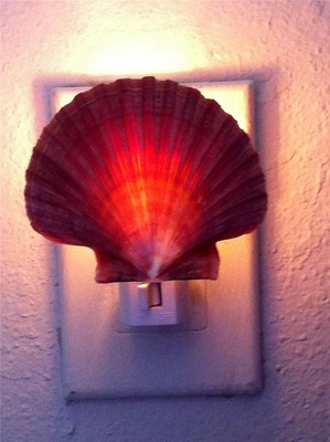 Shell Night Light Wall Art Home decor Gifts for Her Nautical Coastal ...