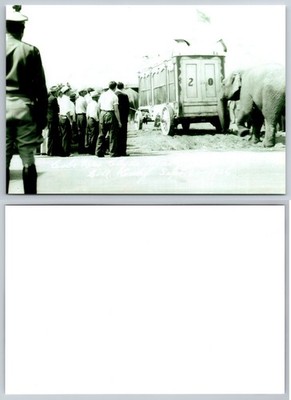 4x6 INCH Elephant Wagon Men Uniforms Circus Photo | eBay