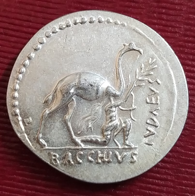 ROMAN COIN Denarius Judaea A. Plautius 55 B.C. Reproduction B0252 | eBay