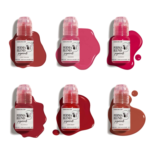 PERMA BLEND Set Kit Permanent Makeup Microblading Pigments Permablend ...
