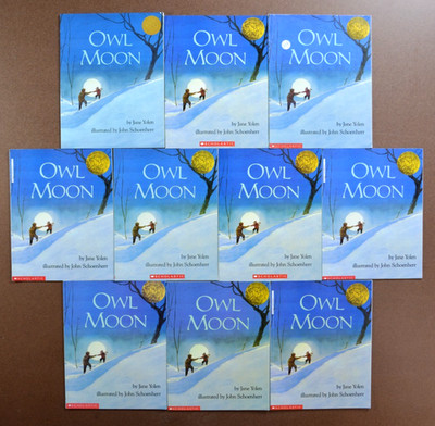 Guided Reading Lot 10 Owl Moon Picture Books by Jane Yolen Teacher ...