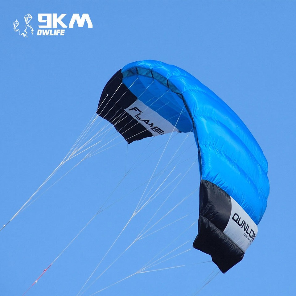 4sqm 4-Line Power Kite Professional Outdoor Sports Traction Kite With ...