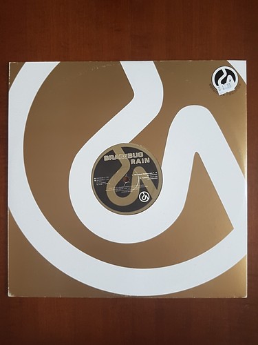 Brainbug - Rain 12' Vinyl Volumex Rec. 1998 very good | eBay.de