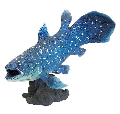 Coelacanth Naturetales Cold Cast Painted Statue Figure | eBay Australia