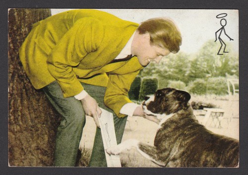 Roger Moore The Saint Vintage 1960s TV Series Postcard with Dog | eBay