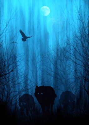 Wolf Pass PREMIUM POSTER FILM PRINT HIGH QUALITY Thick paper | eBay ...