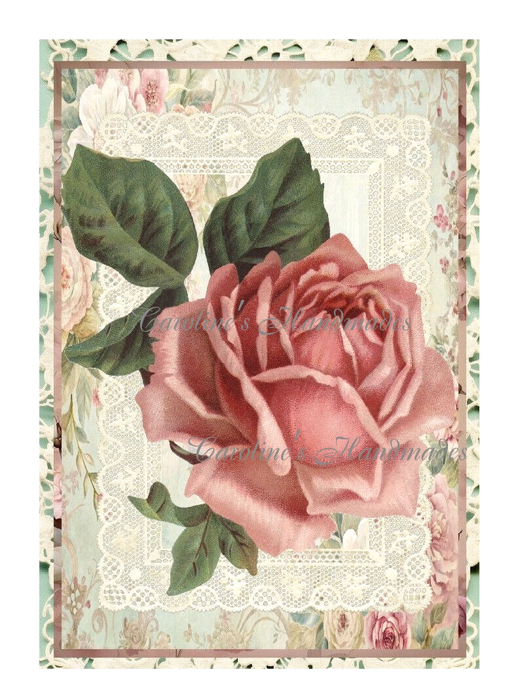 Vintage Pink Roses & Lace A Designer MULTI-SIZE SET Cotton Fabric Quilt ...