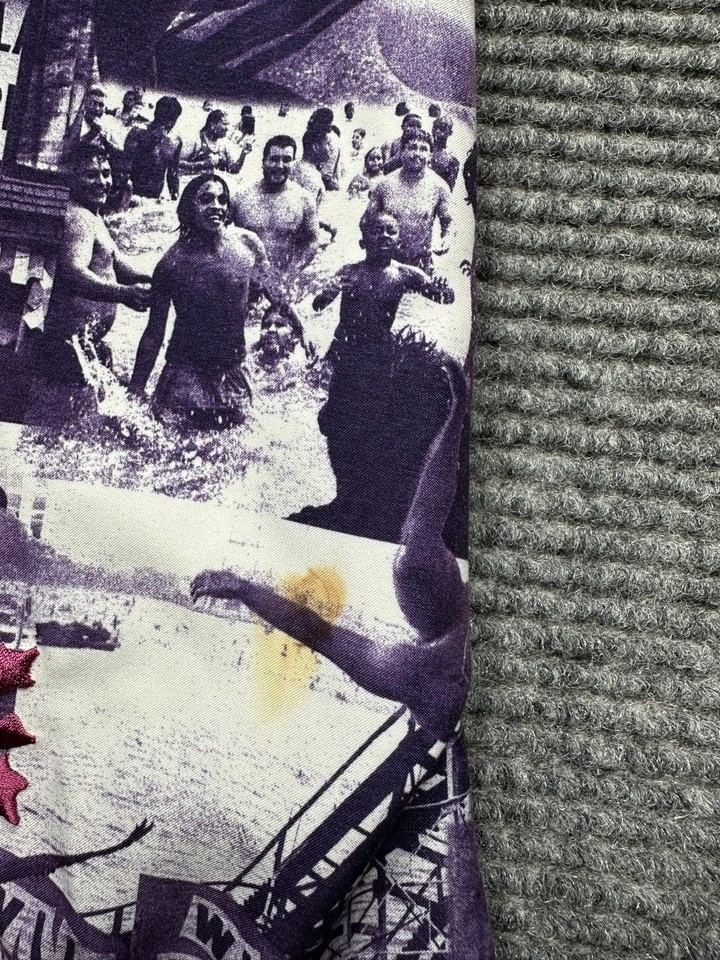 Zoo York Shorts Mens 31 Purple Photo Collage Matt Weber Board Swim ...