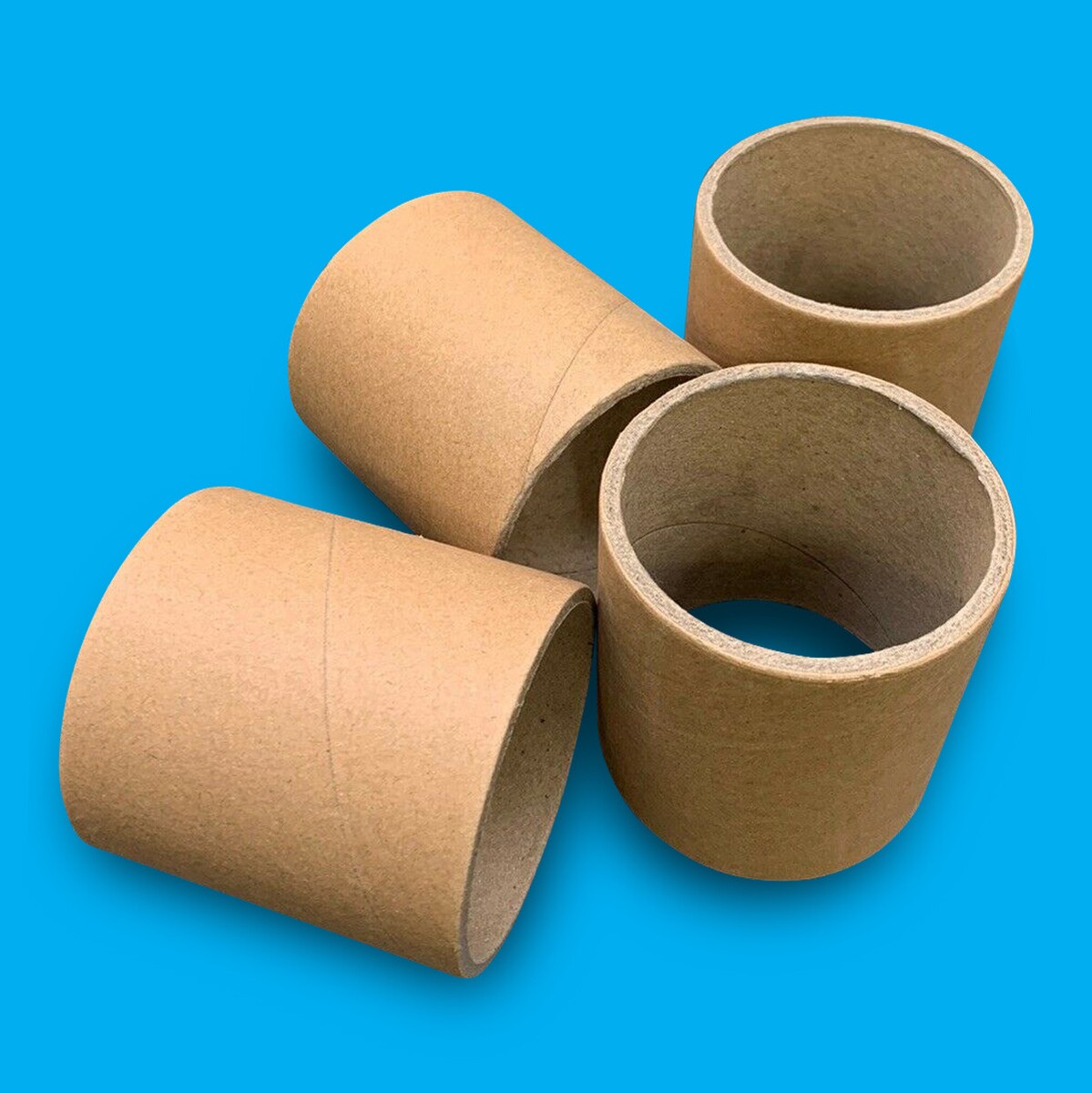Cardboard Tube Projects I'm Looking For Cardboard Tube Craft Ideas