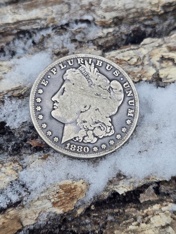 1880 CC MORGAN SILVER DOLLAR KEY DATE CARSON CITY | eBay
