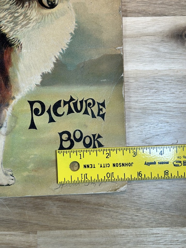 Antique Bow-Wow Picture Book Large Children's Book of Dogs ca. early ...